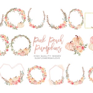 Pink Autumn Pumpkin Clipart, Watercolor Fall Pumpkin Watercolor ...