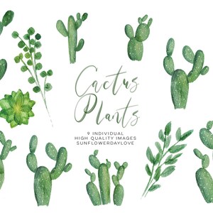 Watercolor Cactus Plant Clipart Set Green Natural Botanical - Etsy