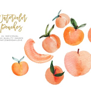 Watercolor Peach Clip Art, Peach Leaves Clipart, Greenery Peaches ...