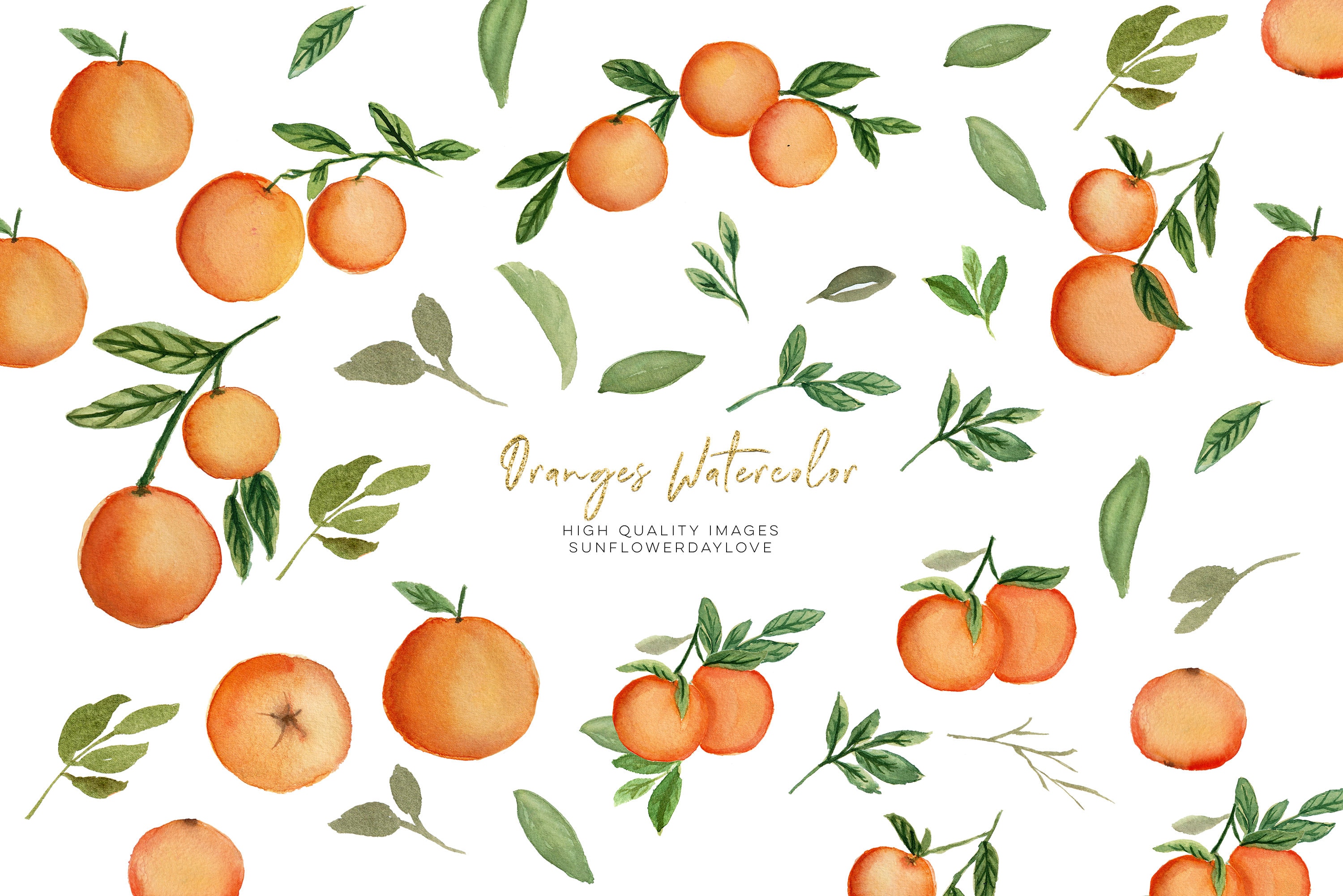 Orange Summer Elements Clipart Citrus Clipart Orange | Etsy