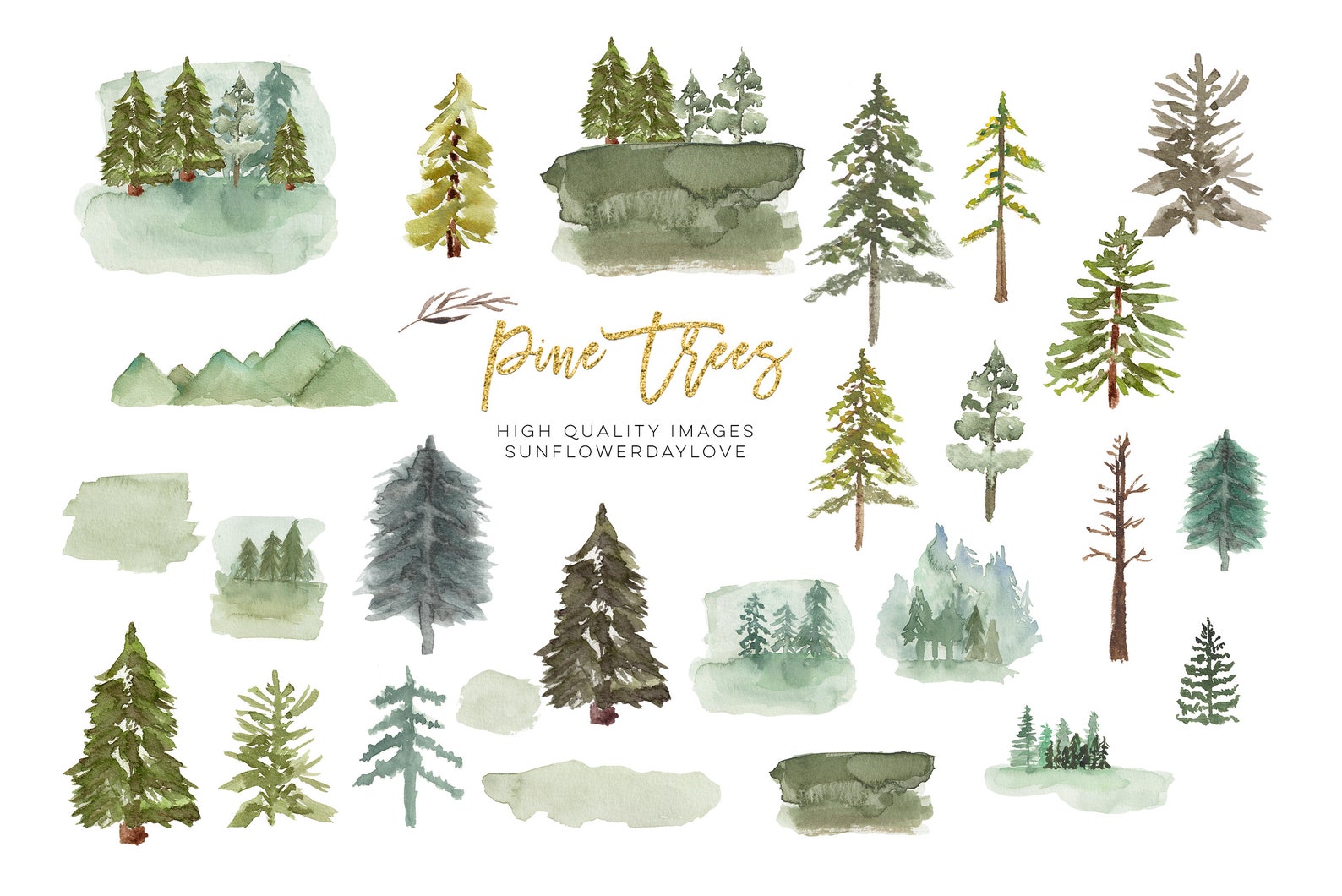 Watercolor Pine Tree Clipart Fir Evergreen Tree Clipart Hand - Etsy