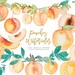 Greenery Peaches Watercolor Clipart, Summer Peaches Clipart, Peach ...