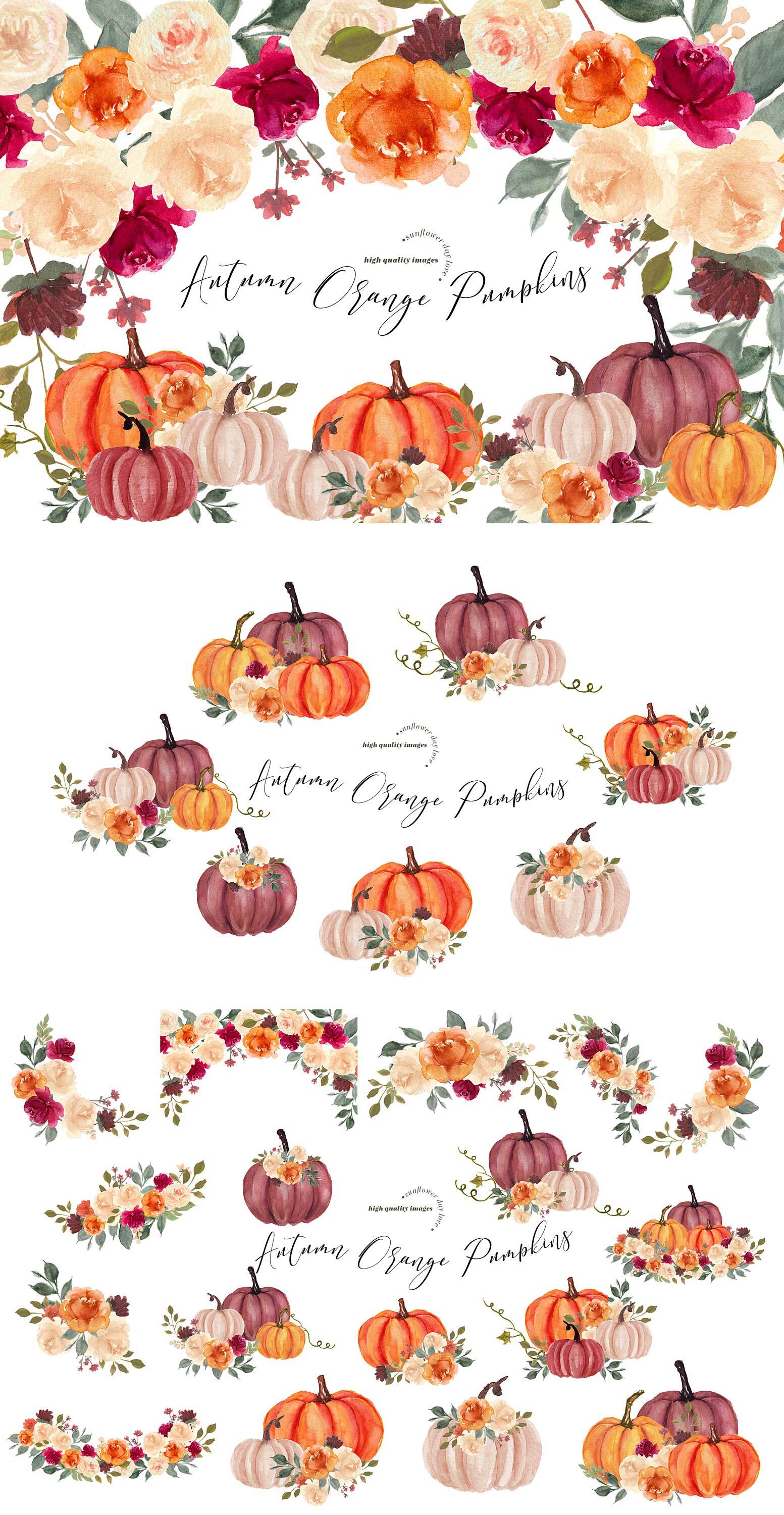 Fall Autumn Orange Pumpkins Clipart, Pumpkin Watercolor Clipart, Burnt ...