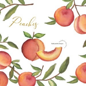Greenery Peaches Watercolor Clipart, Summer Peaches Clipart, Peach ...