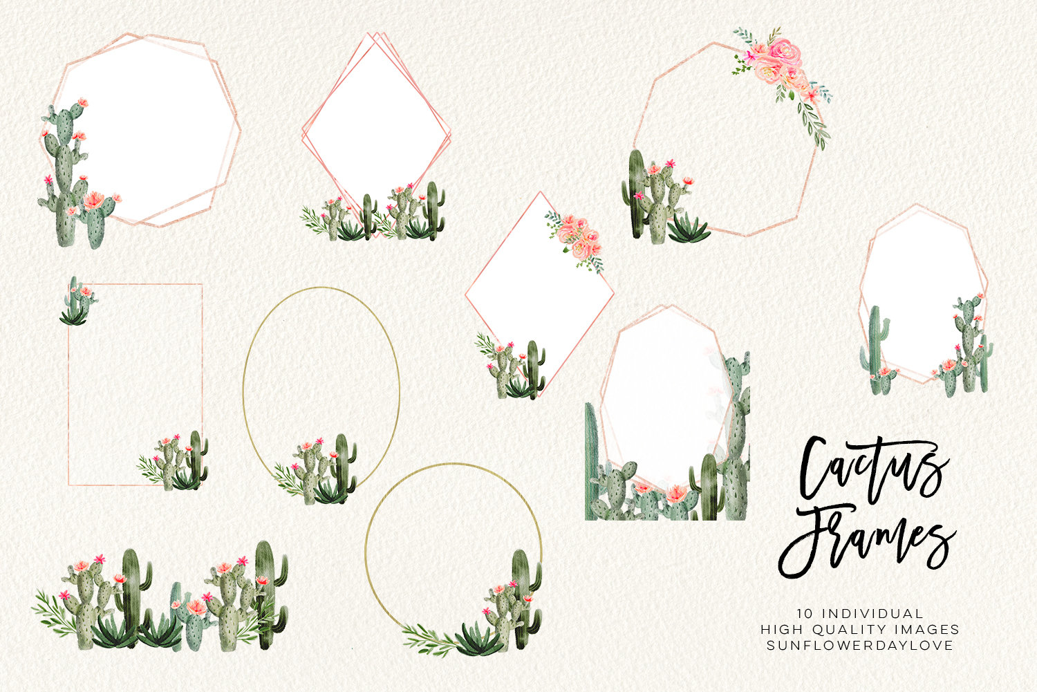 Succulent Cactus Frames Succulent Borders Hand Painted - Etsy