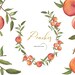 Greenery Peaches Watercolor Clipart, Summer Peaches Clipart, Peach ...