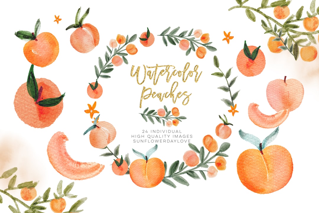 Watercolor Peach Clip Art, Peach Leaves Clipart, Greenery Peaches ...