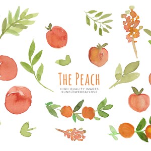 Peaches Greenery Watercolour, Peaches Clipart Hand Painted Illustration ...