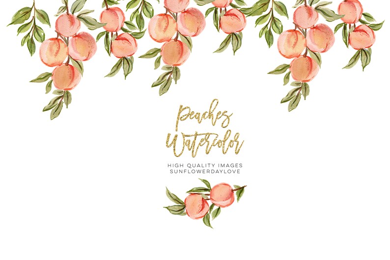 Peaches Watercolor Elements Clipart, Peach Fruit Cli Part, Peach Leaves ...