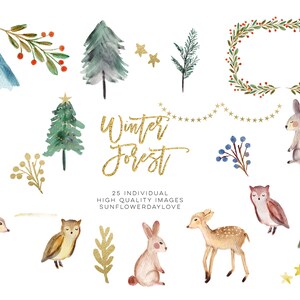 Winter Woodland Animals Clipart, Watercolor Pine Trees Clipart ...