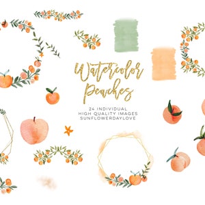 Watercolor Peach Clip Art, Peach Leaves Clipart, Greenery Peaches ...