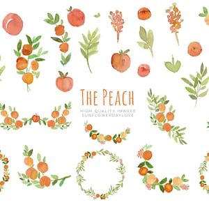 Peaches Greenery Watercolour, Peaches Clipart Hand Painted Illustration ...
