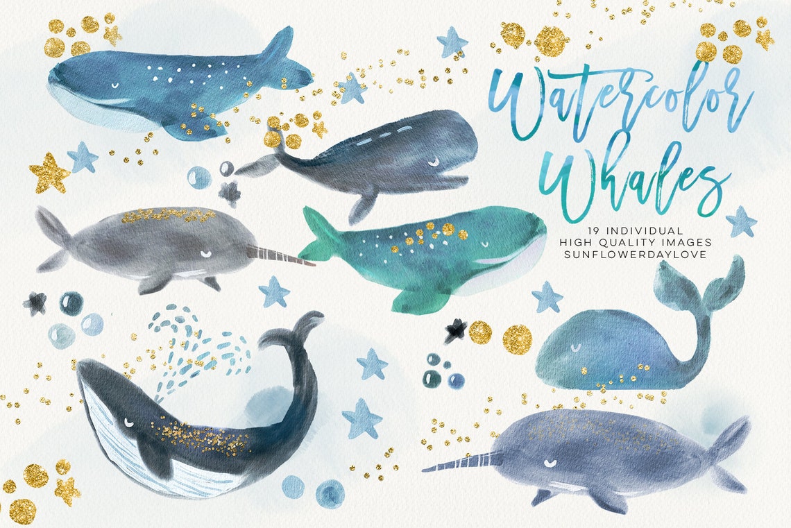 Whale Watercolour Clip Arts Whale Clipart Marine Mammals - Etsy