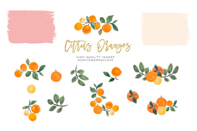 Orange Clip Art Oranges Clipart Fruits Floral Border Modern - Etsy