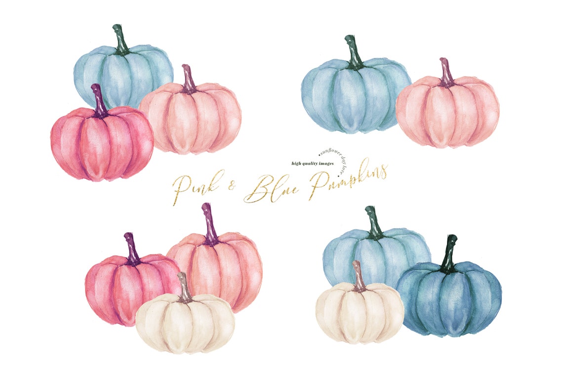 Modern Pink & Blue Flowers Pumpkin Clipart Elegant Pumpkin - Etsy