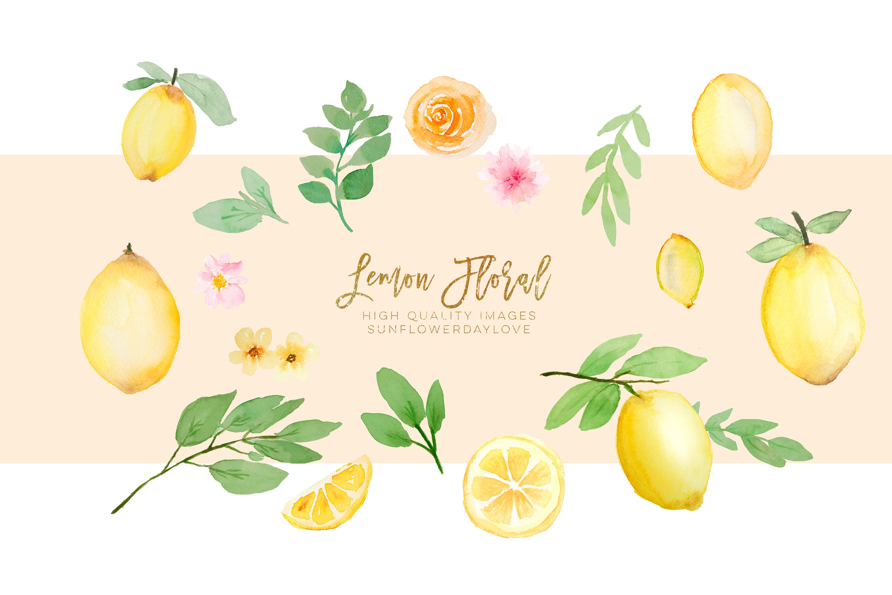 Watercolor Lemon Citrus Fruit Clipart Summer Floral Yellow - Etsy
