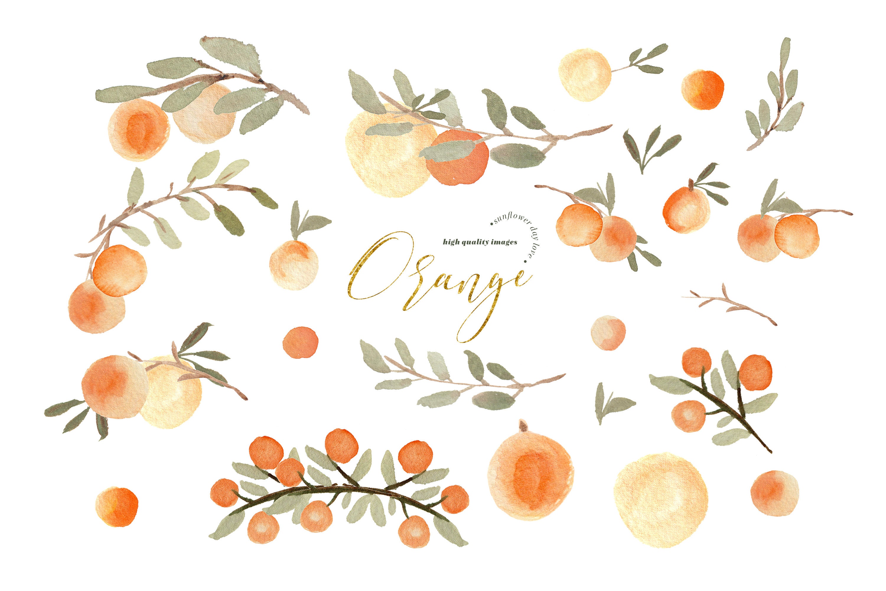 Orange Summer Elements Clipart Citrus Frame Orange - Etsy