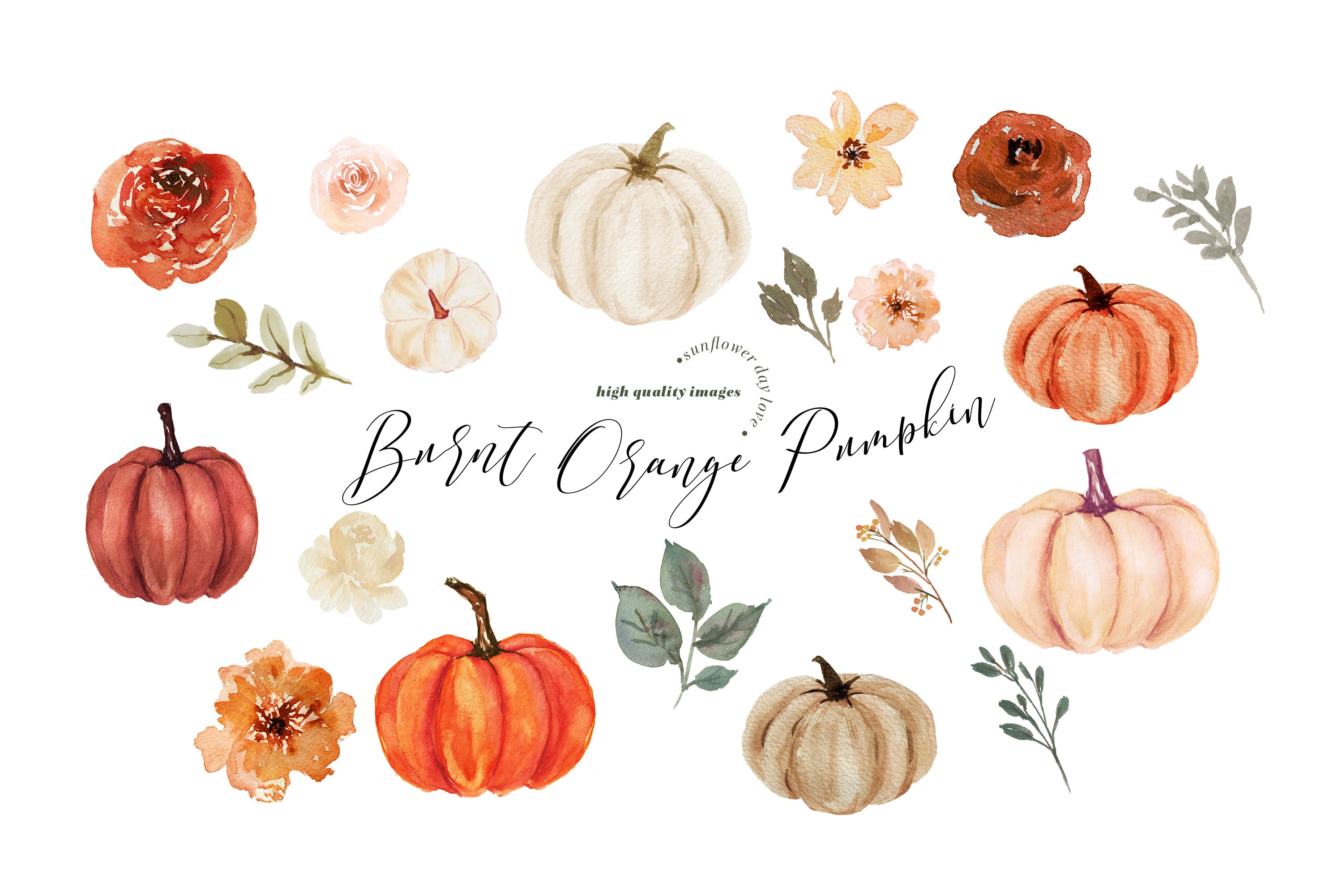 Burnt Orange Pumpkin Clipart Pumpkin Watercolor Clipart Fall - Etsy