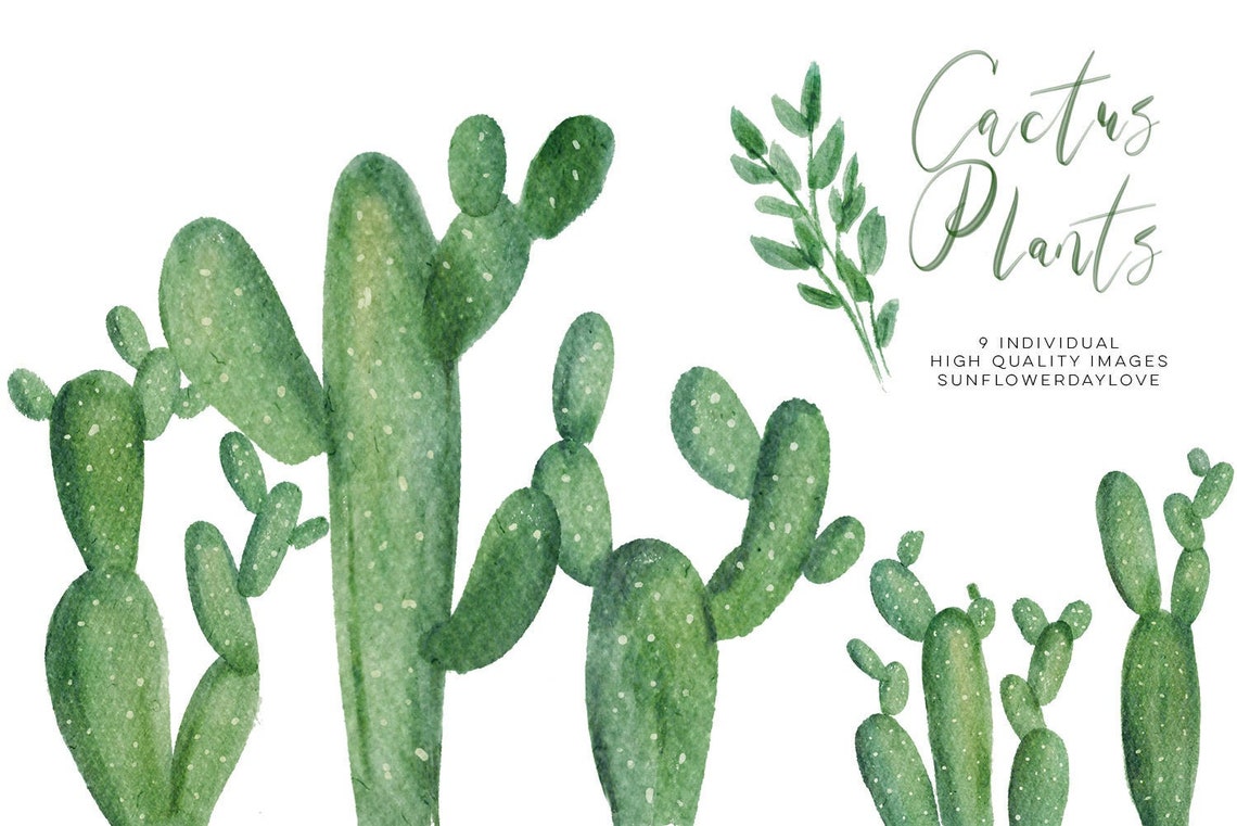 Watercolor Cactus Plant Clipart Set Green Natural Botanical - Etsy