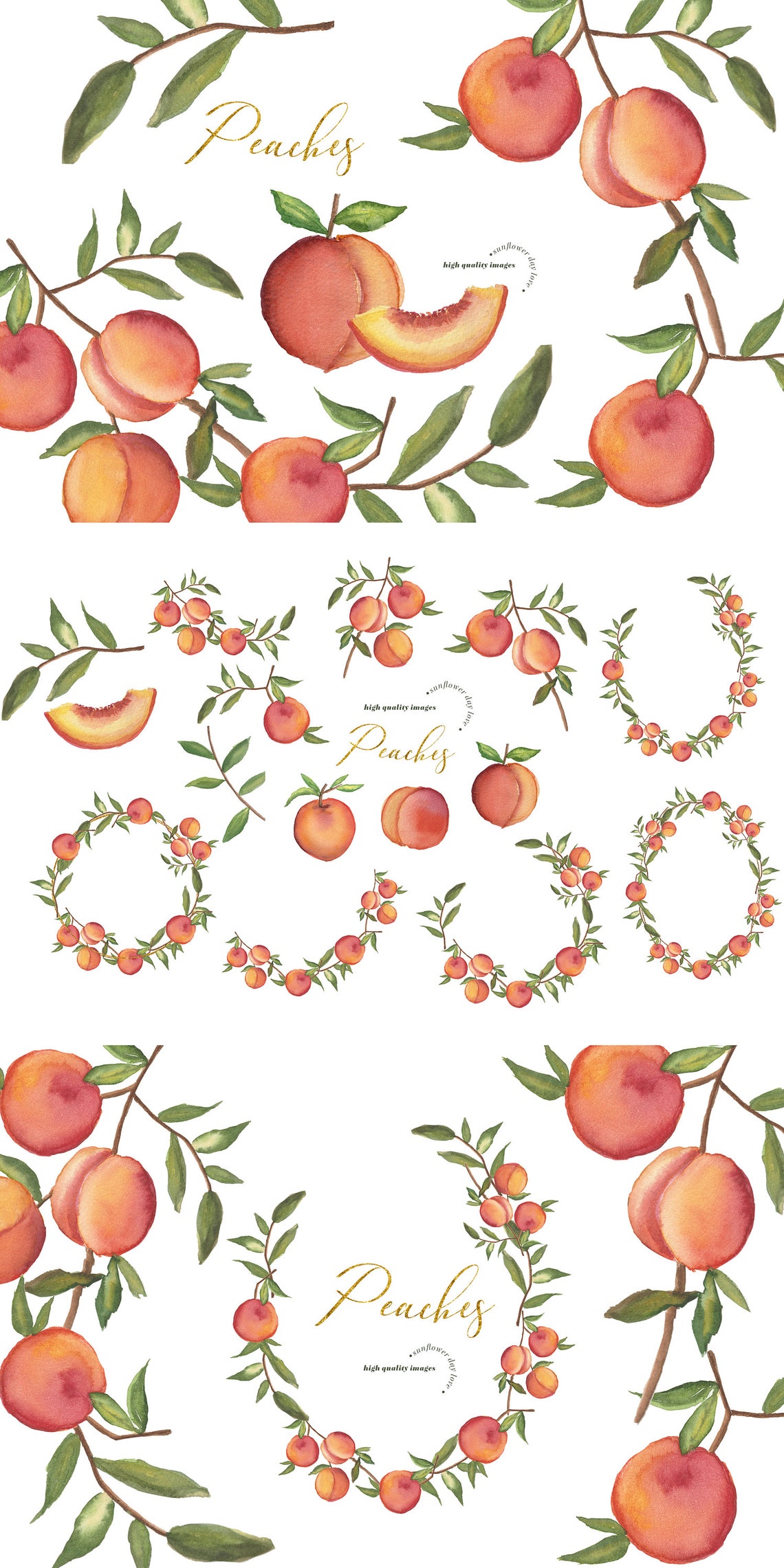 Greenery Peaches Watercolor Clipart Summer Peaches Clipart - Etsy