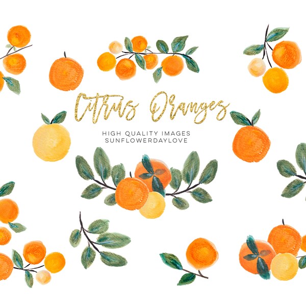 Orange Clipart Fruit Clipart Fruits Watercolor Clip Art Citrus Clipart ...