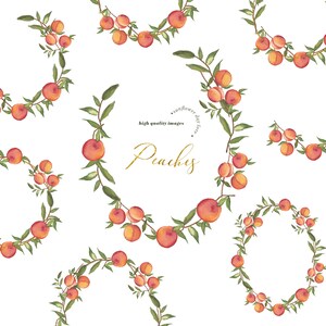 Greenery Peaches Watercolor Clipart, Summer Peaches Clipart, Peach ...
