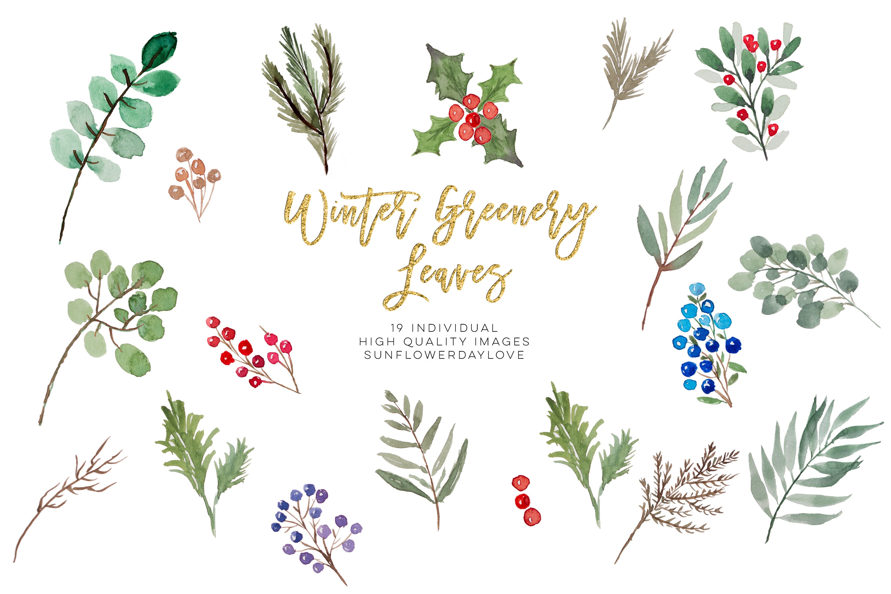 Winter Greenery Leaves Clipart Winter Greenery Clip Art - Etsy
