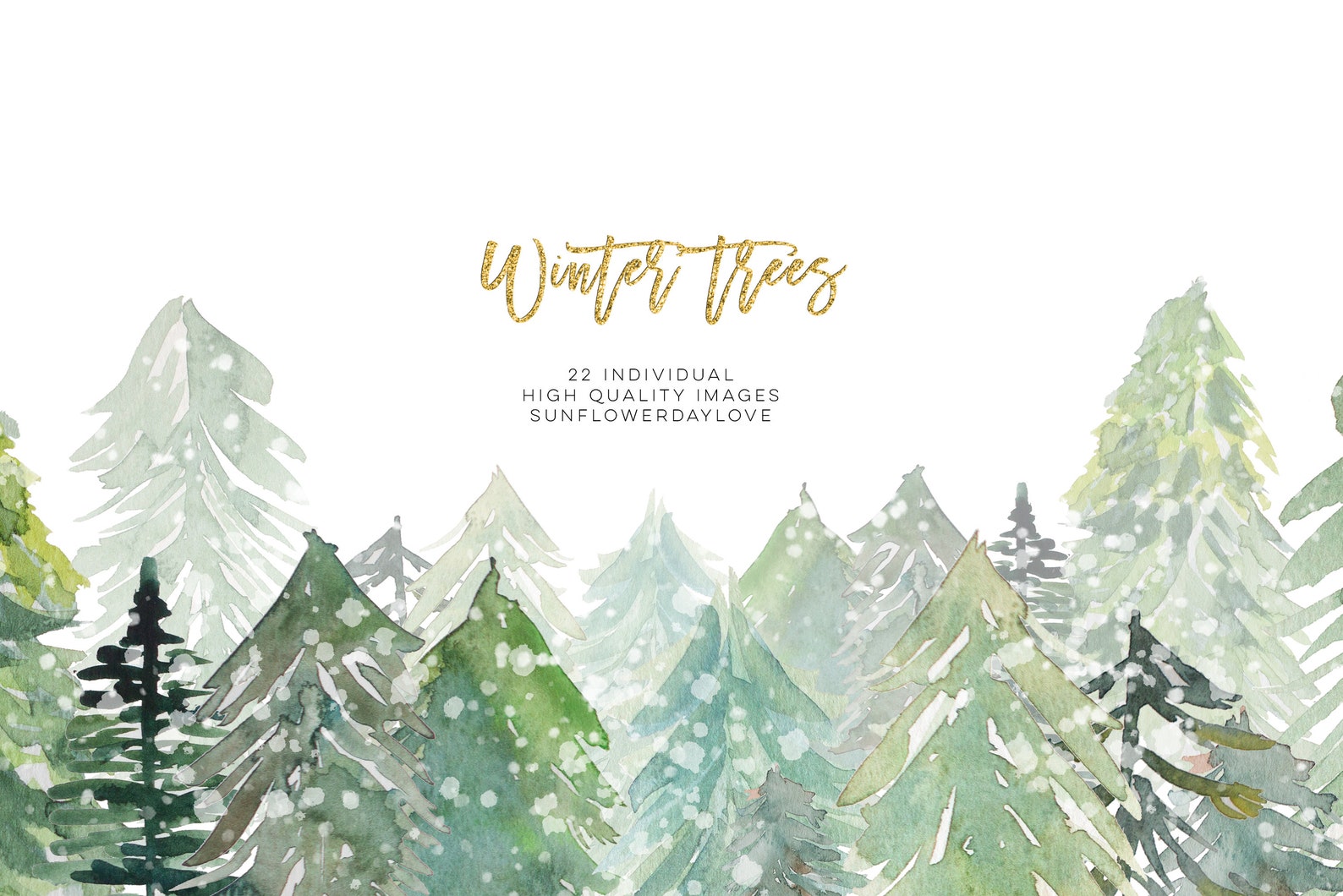 Conifer Forest Trees Clipart Fir Trees Clipart Watercolor | Etsy