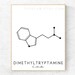 Dimethyltryptamine Printable Art, Chemical DMT Molecule Digital Print ...