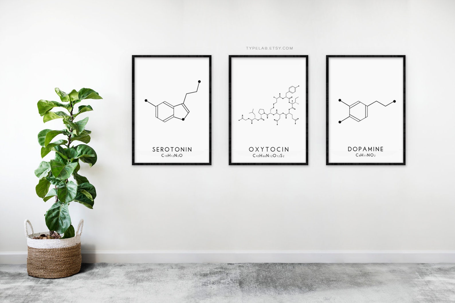 Molecule Print Set, Serotonin, Oxytocin & Dopamine Prints in White ...