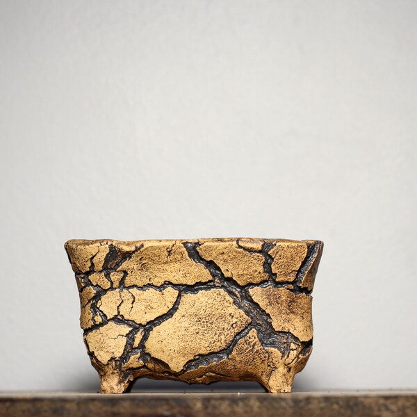 Bonsai Pot - Etsy