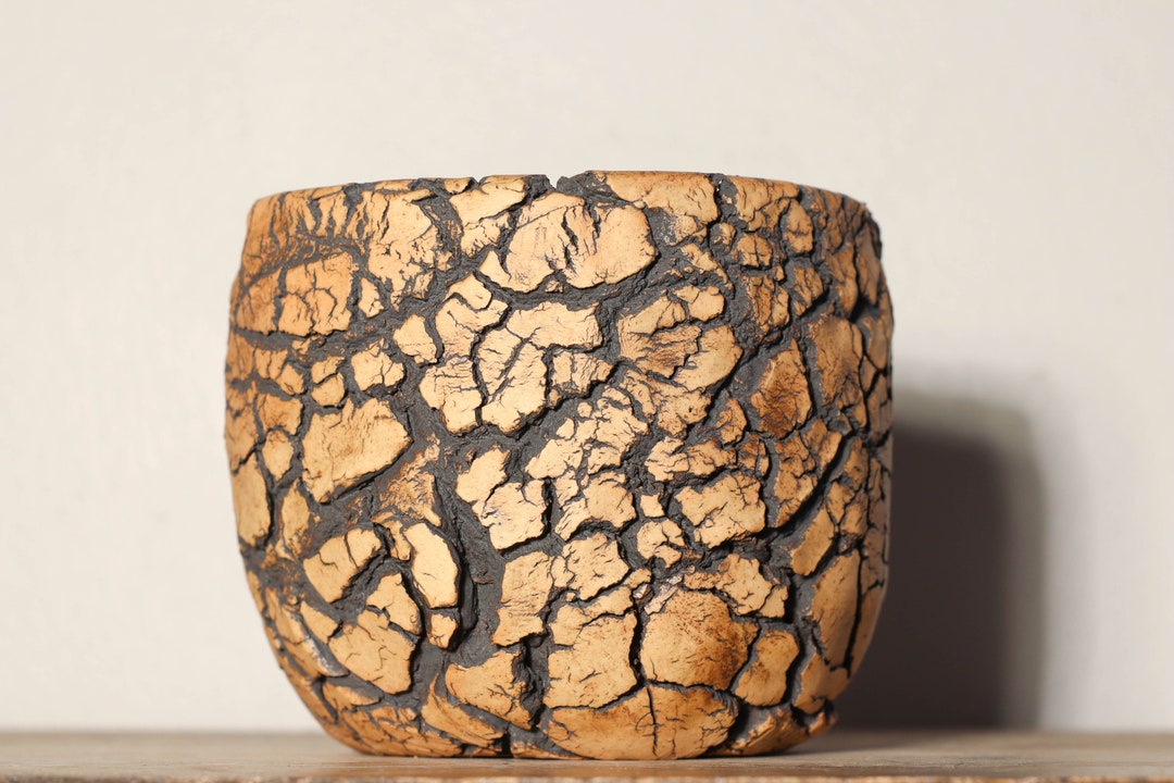 M230 Succulent Pot, Cracked Texture Ceramic Vessel , Wood Texture ...