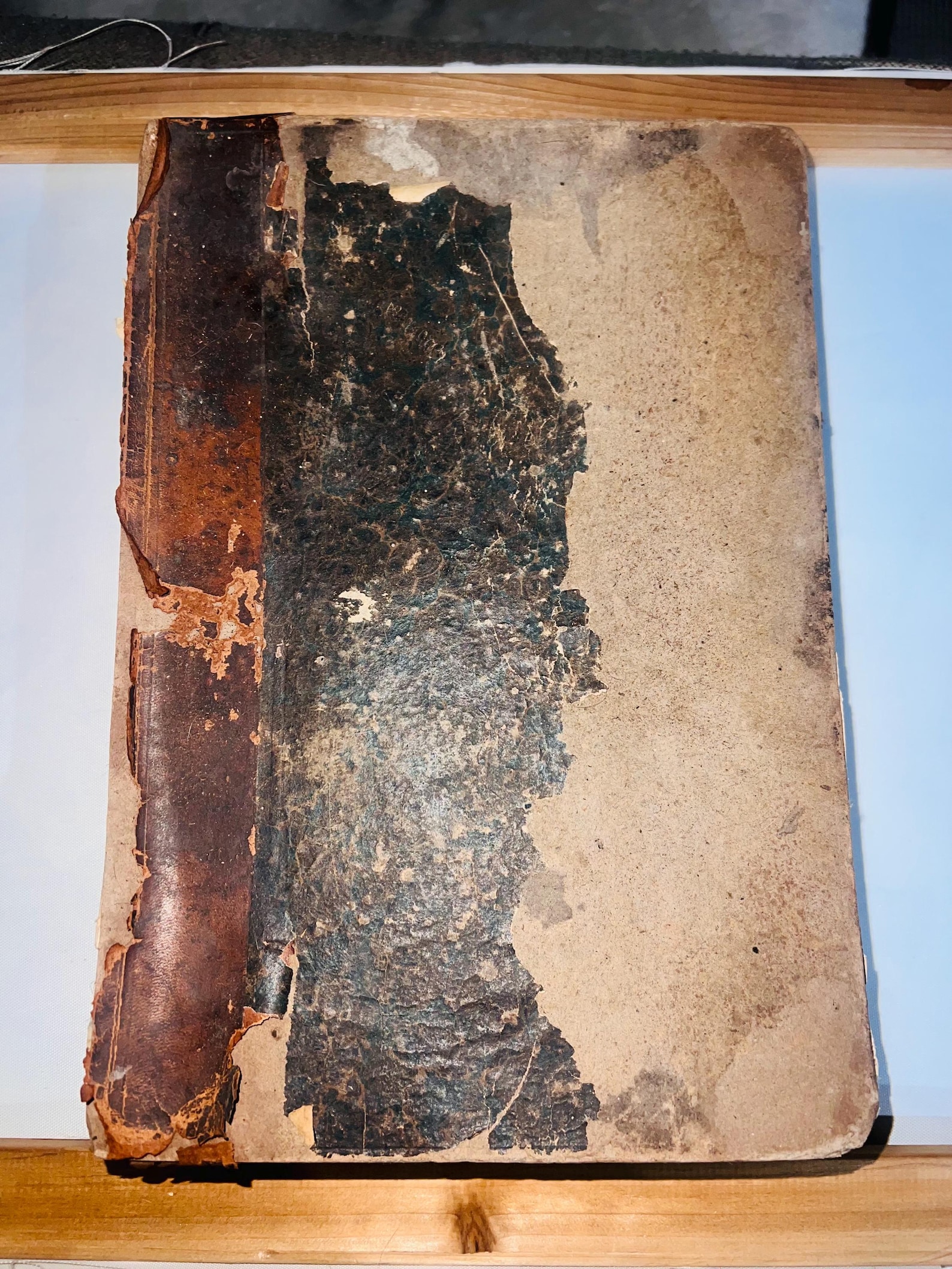 Antique Bible 1700s German Martin Luther Bible 1706 - Etsy