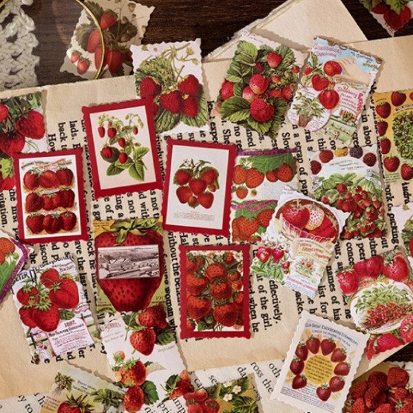 Sticker Flakes - Etsy