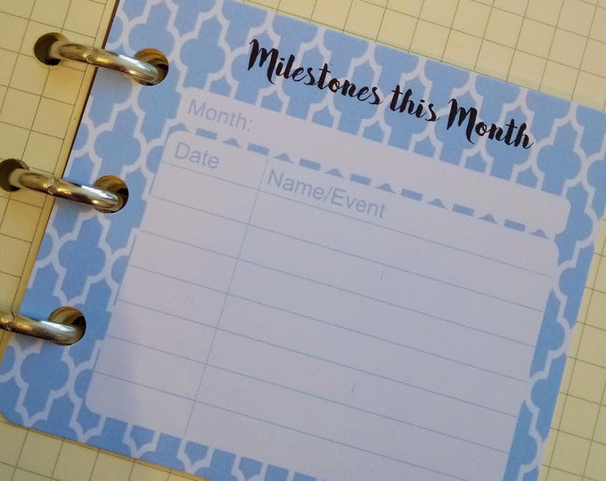 Mini Milestone Reminders Planner Overlays - Set of 12 / Birthday ...