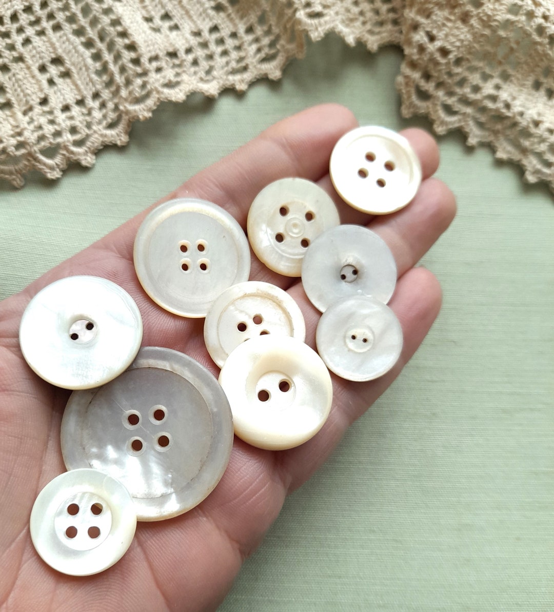 Assorted Large Natural Shell Buttons, Set of 10 Off-white Pearly ...