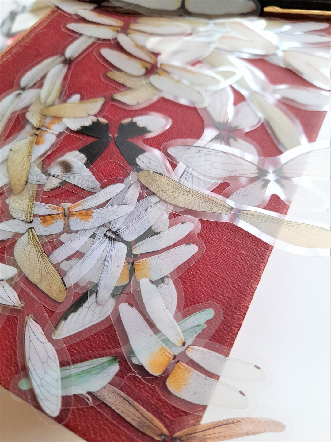Insect Wings Stickers / Transparent Stickers / Bug Stickers, Perfect ...
