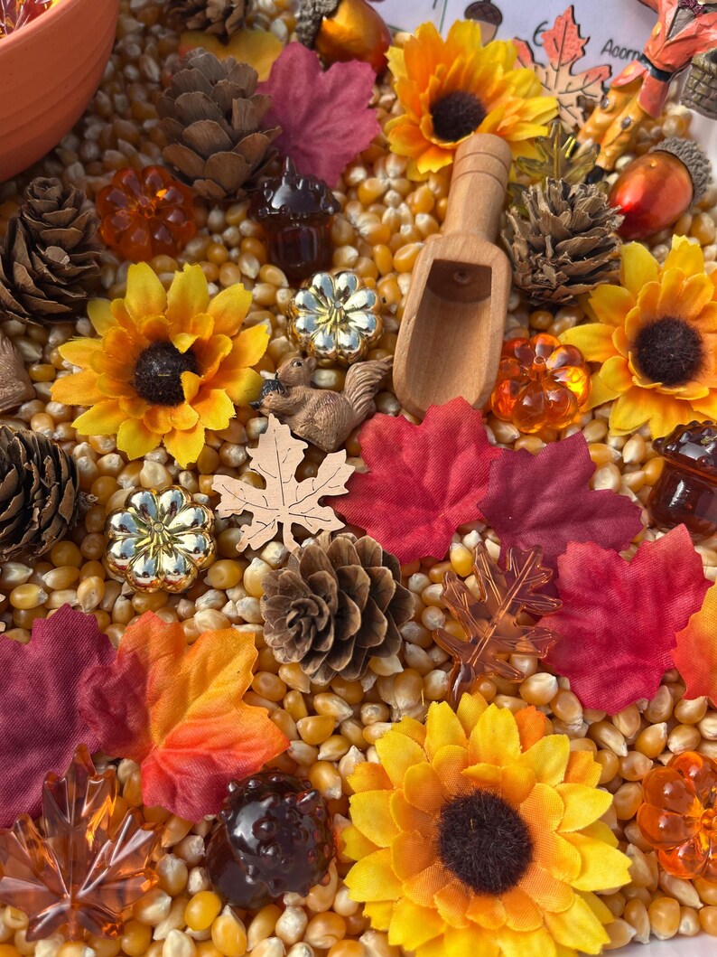 Fall Harvest Sensory Bin | Fall Seasonal Game | Preschool | Homeschool ...