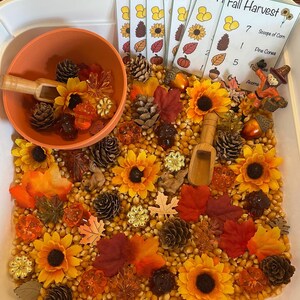 Fall Harvest Sensory Bin: Preschool Counting Game With Leaves ...