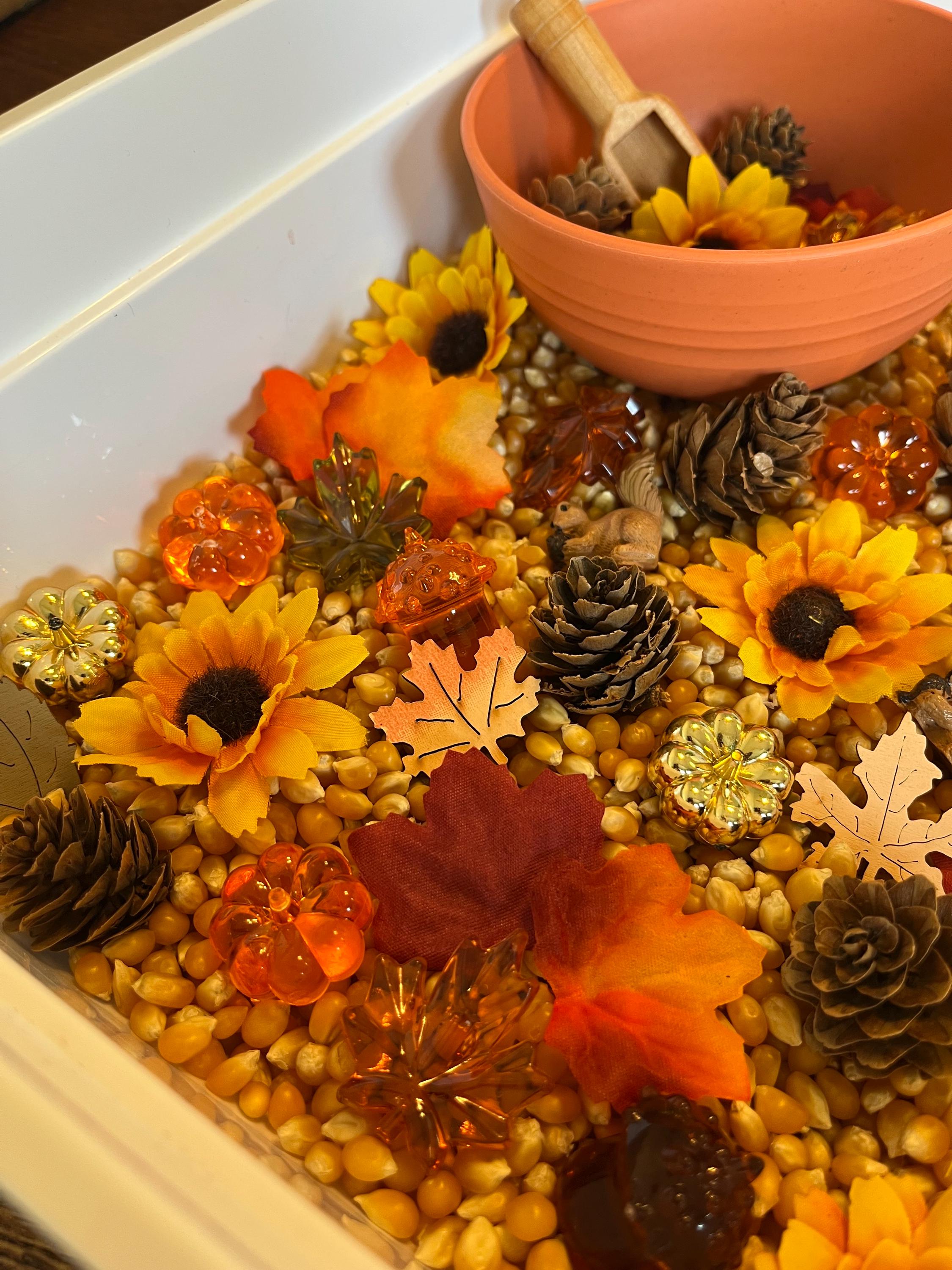 Fall Harvest Sensory Bin: Preschool Counting Game With Leaves ...
