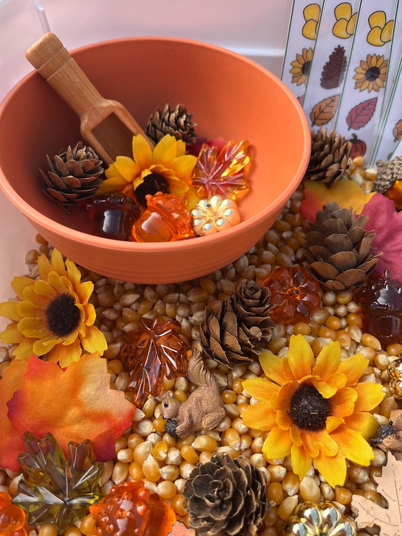 Fall Harvest Sensory Bin | Fall Seasonal Game | Preschool | Homeschool ...
