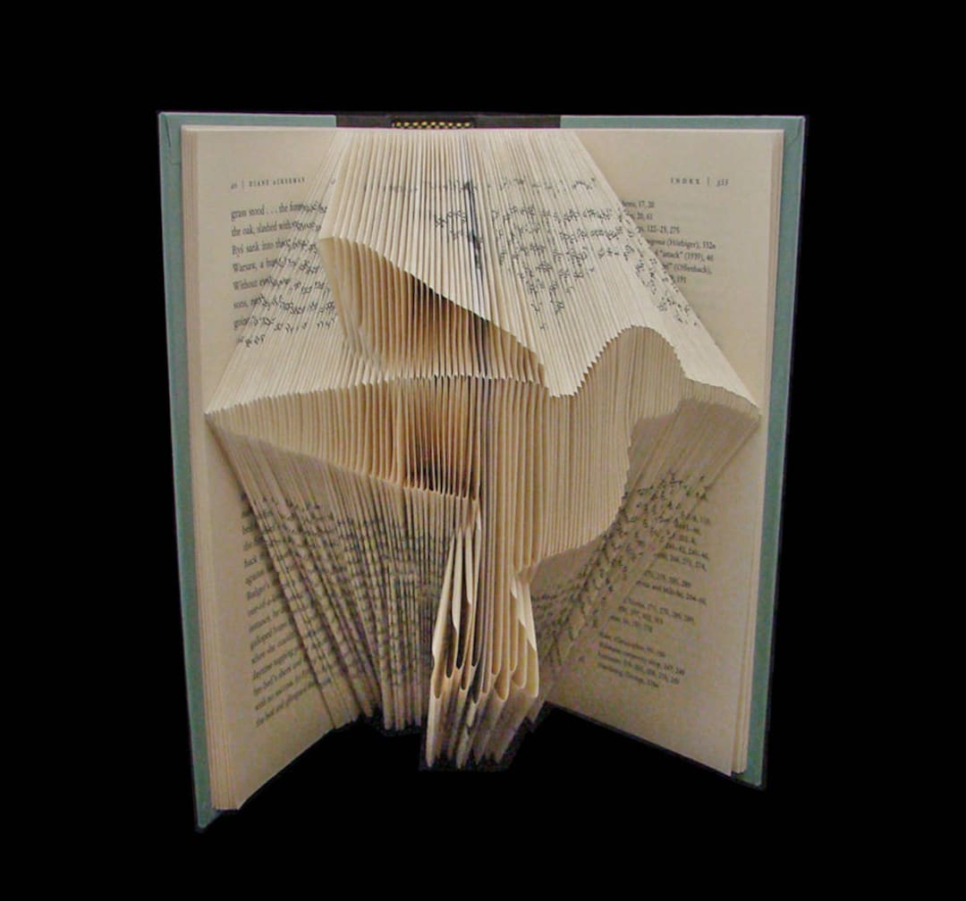 Hummingbird | Bird | Avian | Ornithology | Folded Book Art Sculpture - Etsy