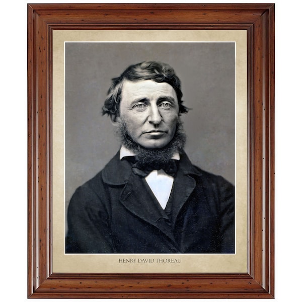 Henry David Thoreau - Etsy