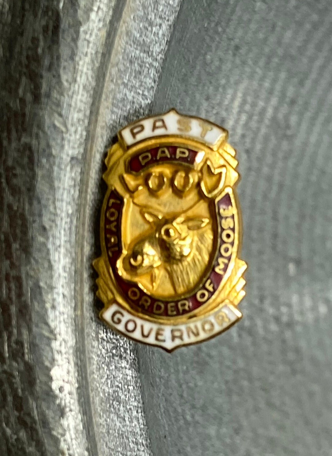 Vintage Moose Governor Pin Collectable Loyal Order of Moose Governor ...