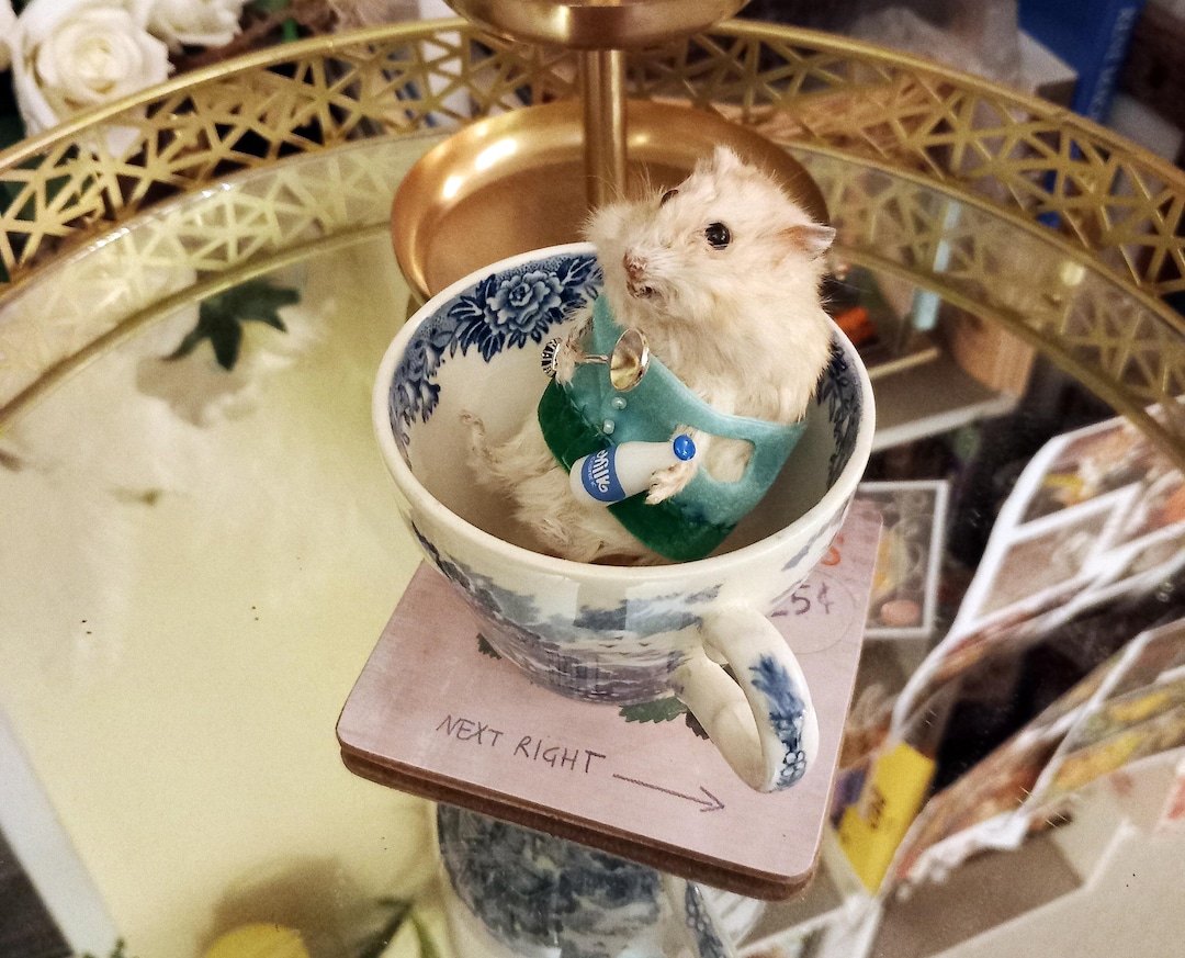 Taxidermy Hamster Sitting in a Tea Cup With a Silver Spoon, Ready to ...