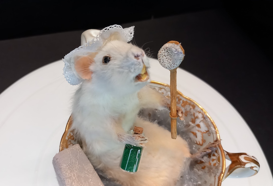 Taxidermy White Rat, Taking a Luxurious Bathe in a Fancy Teacup ...