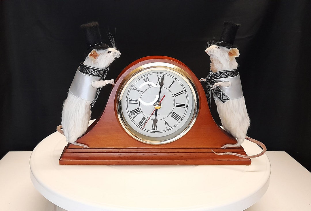 Anthropomorphic Taxidermy Two White Mice on a Wooden Mantel Clock in ...