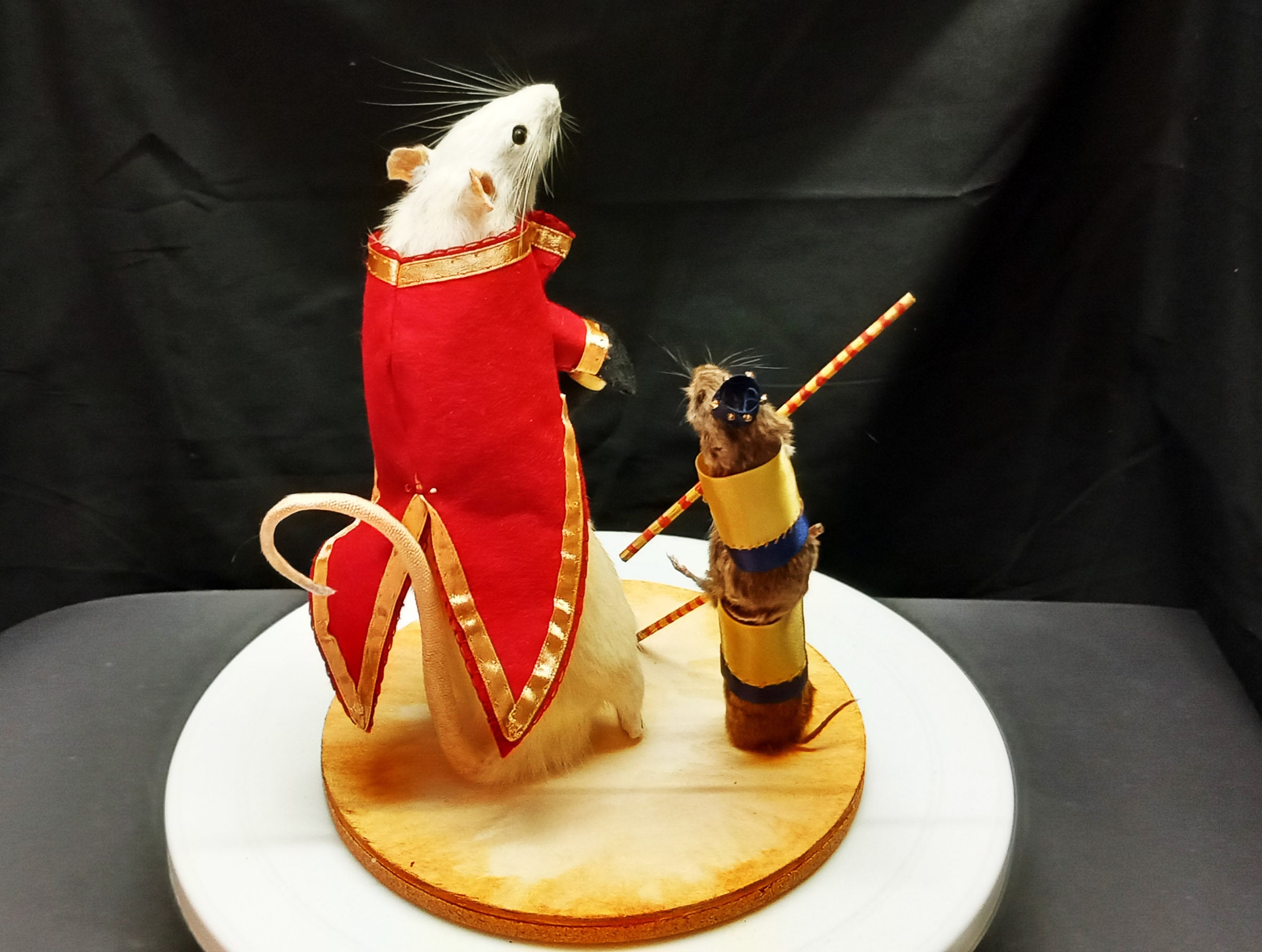 Taxidermy Circus, Ring Master Rat With Two Vole Acrobats, Dressed in ...