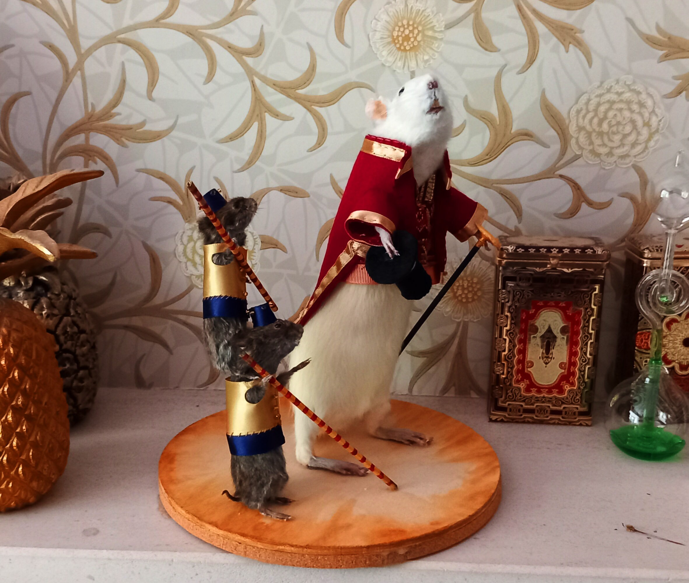 Taxidermy Circus Ring Master Rat With Two Vole Acrobats - Etsy