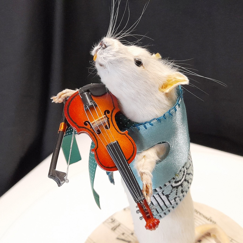 Taxidermy Rat - Etsy